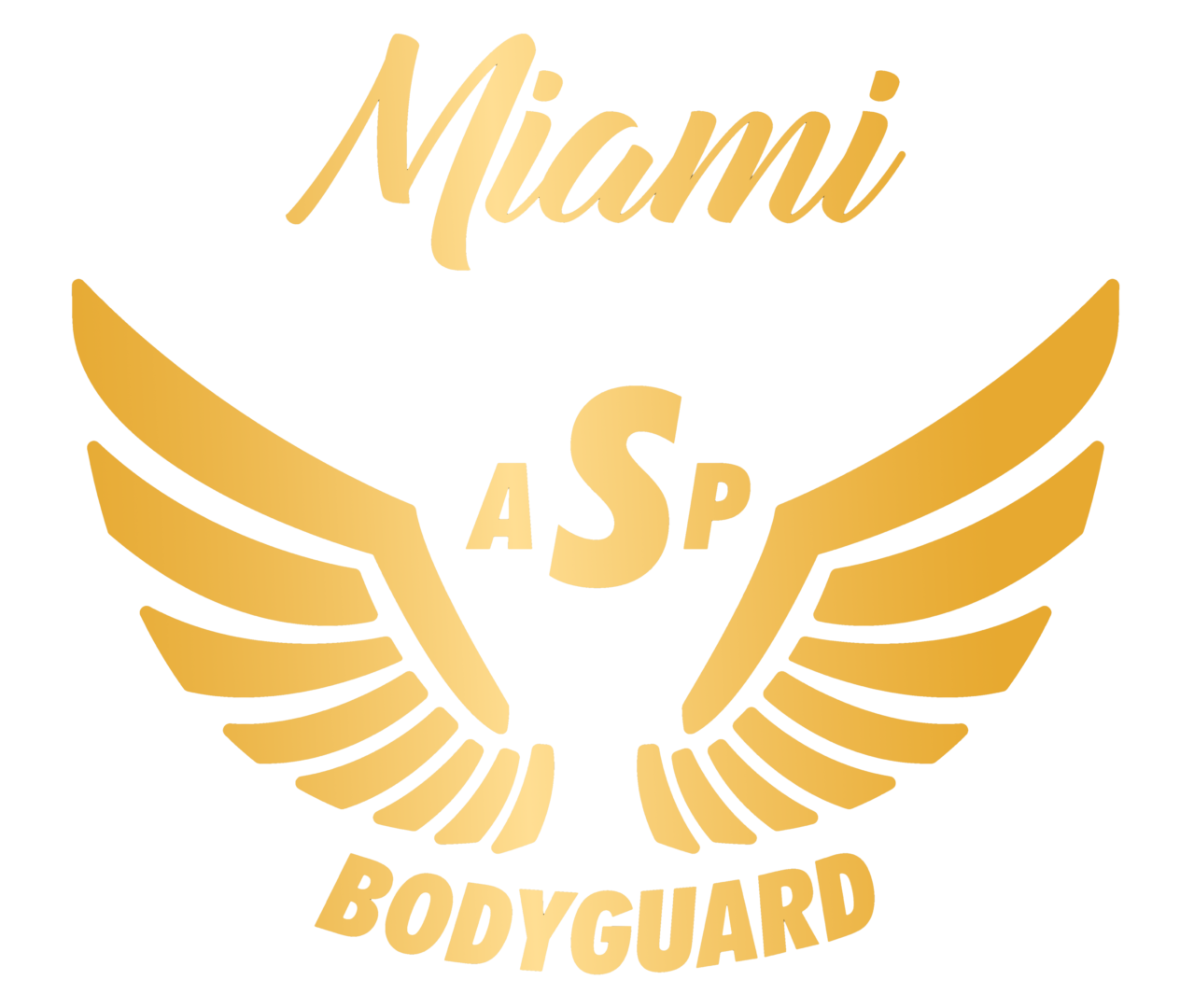 Formation agent de sécurité et Garde du corps | Devenir un agent de ...